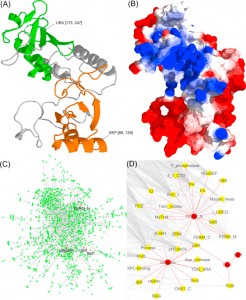 The Second Critical Assessment of protein Function Annotations | Byte Size Biology